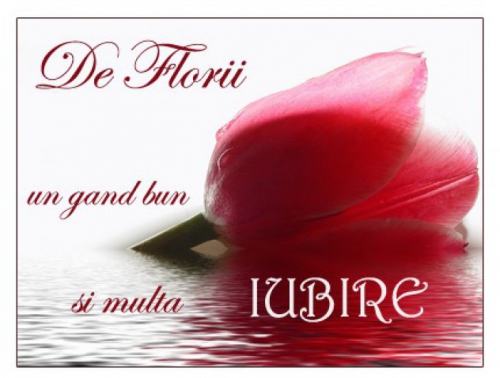 Mesaje de Florii cu imagini. Cele mai frumoase felicitări cu flori: La ...