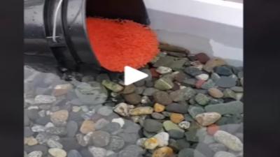 Obiceiul care face ciorba otravitoare. Toate gospodinele fac asta fara ...