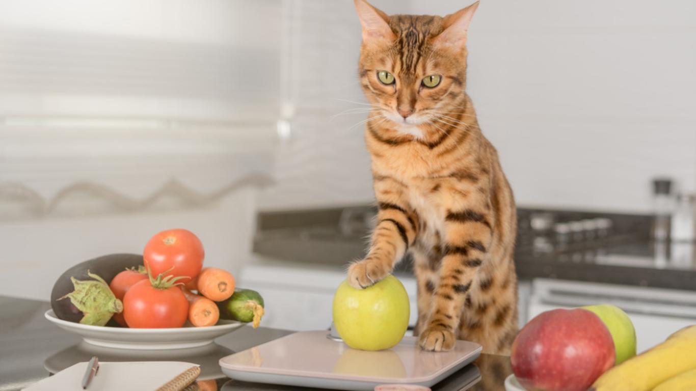 Lista completă de fructe și legume pe care le poate mânca o pisică ...