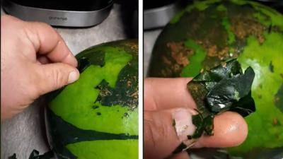 Stiri de Ultima Ora - Stiri Online - Stirile Zilei | Realitatea.NET