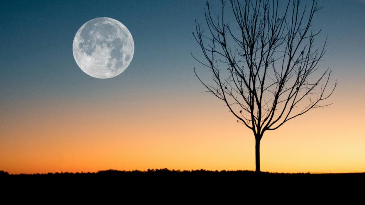 Super Luna Rece din 4 decembrie 2025. Ce se va întâmpla din punct de ...